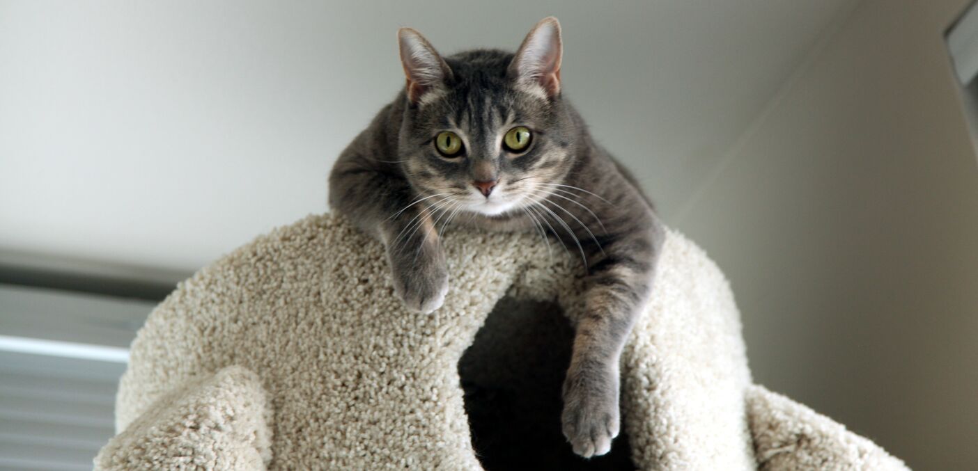 Home [caseymuratori.com]